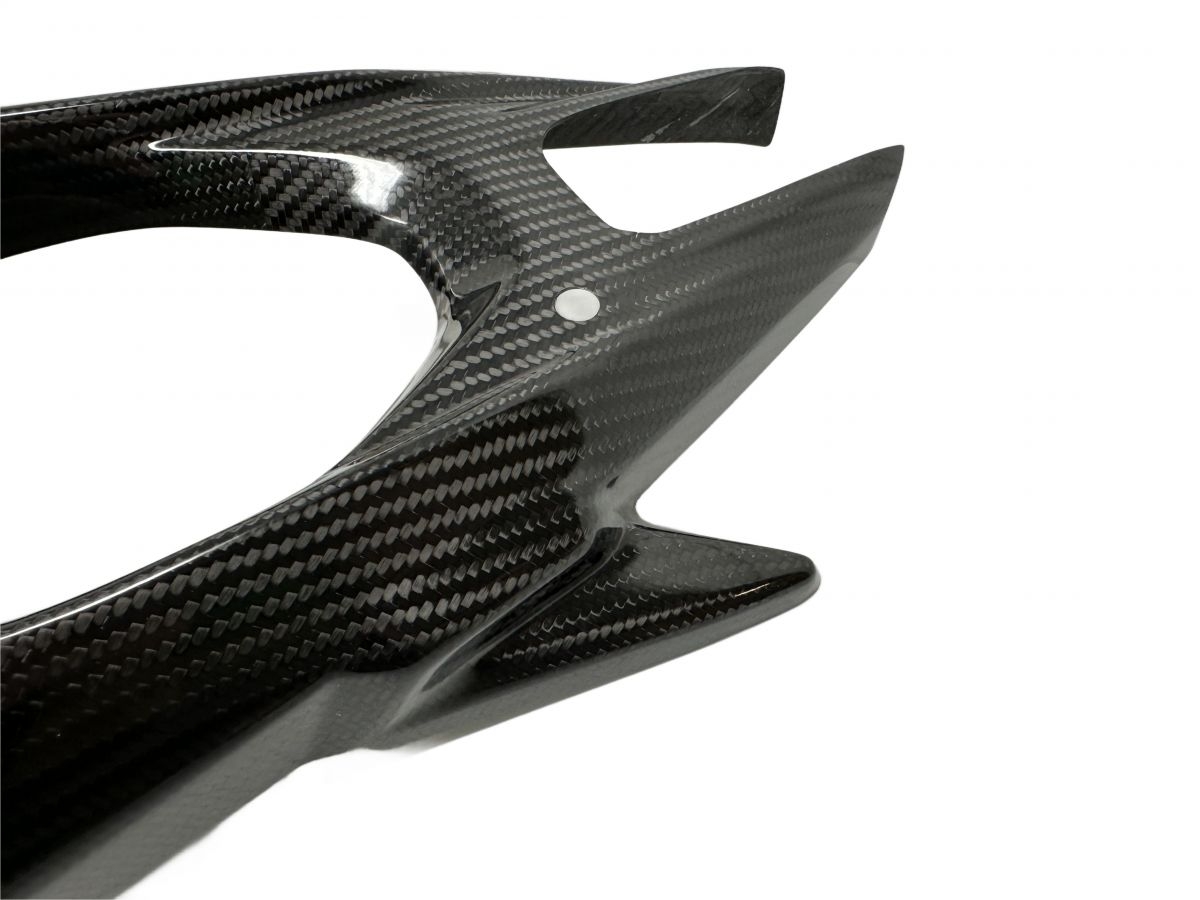DUC-V4290 EXTREME COMPONENTS GLOSSY CARBON SWINGARM PROTECTIONS DUCATI ...