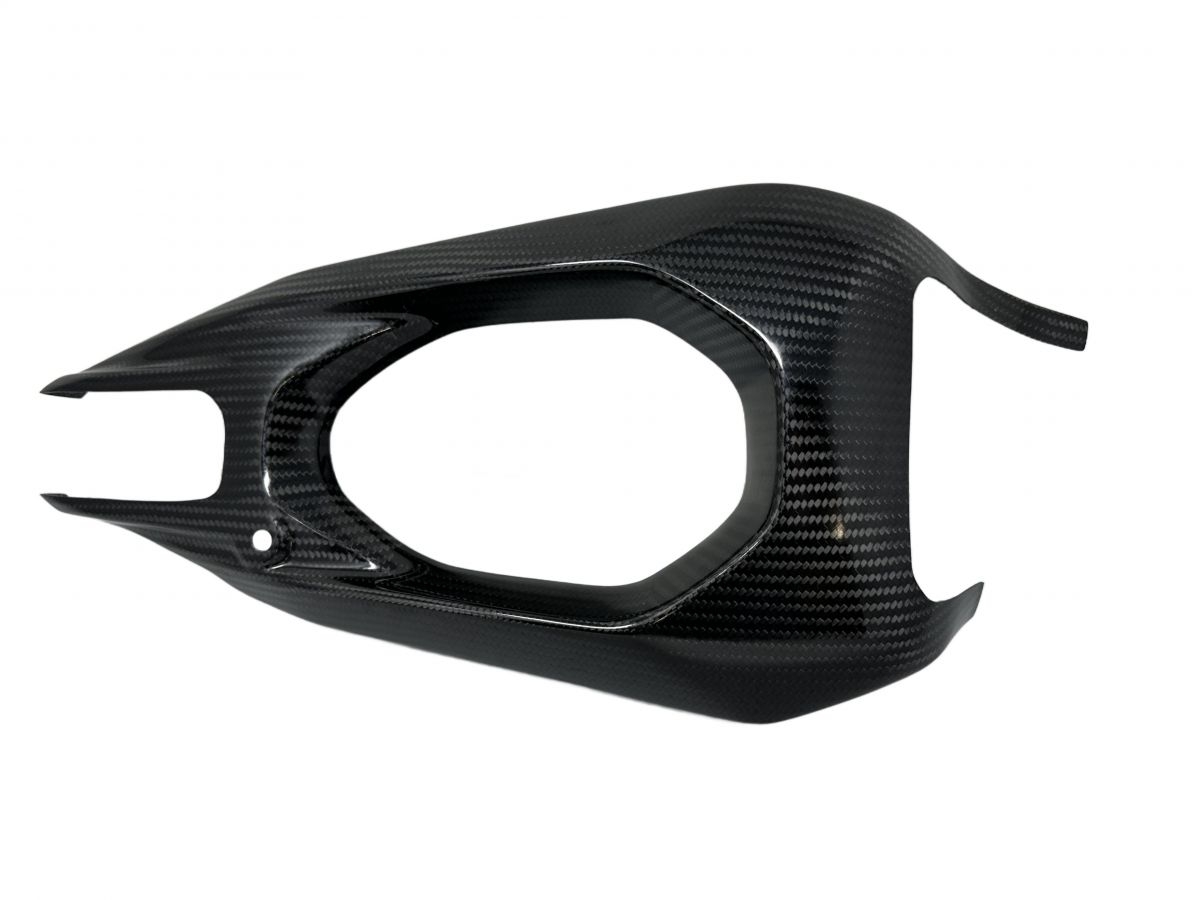 DUC-V4290 EXTREME COMPONENTS GLOSSY CARBON SWINGARM PROTECTIONS DUCATI ...